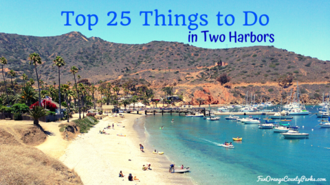Two Harbors - Top 25 Things to Do on Catalina Island's Quiet Side