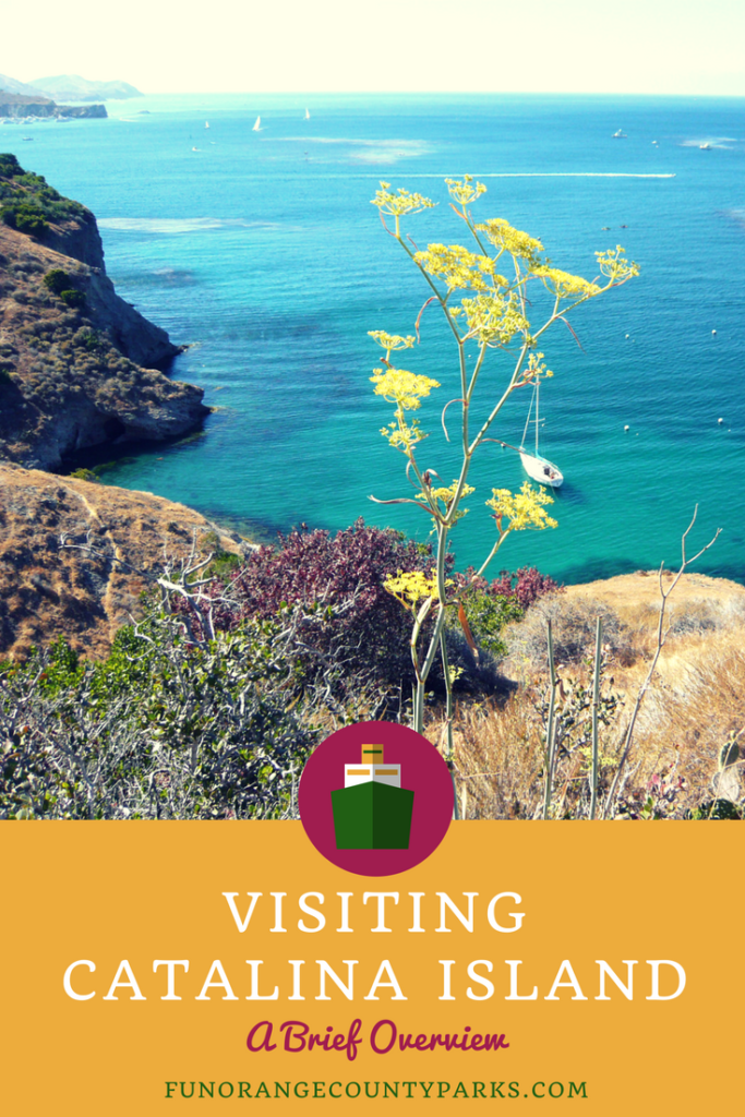 Visiting Catalina Island: A Brief Tutorial on the Basics