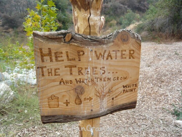 Oak Glen Preserve Hiking Trail | The Wildlands Conservancy