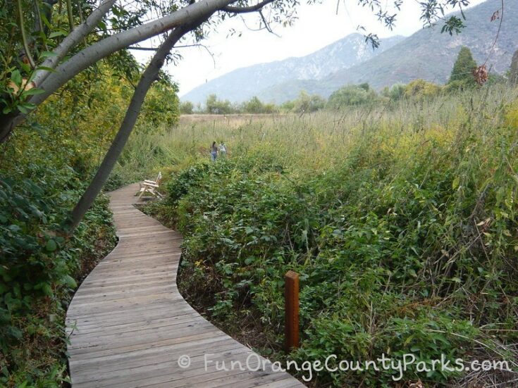Oak Glen Preserve Hiking Trail | The Wildlands Conservancy