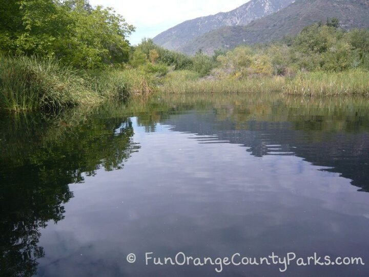 Oak Glen Preserve Hiking Trail | The Wildlands Conservancy