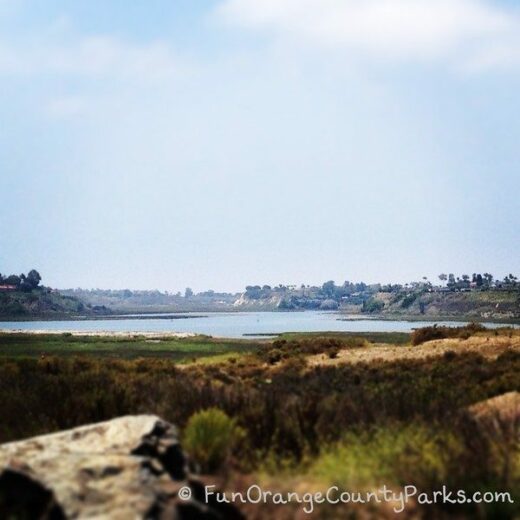 Muth Interpretive Center and Upper Newport Bay for Families