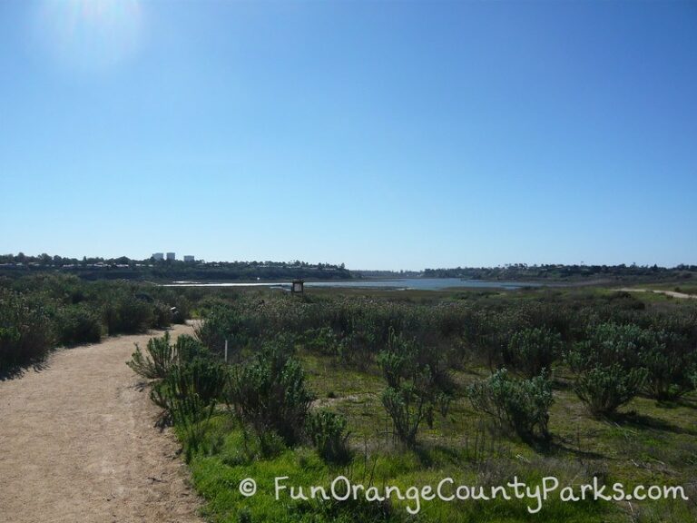 Muth Interpretive Center and Upper Newport Bay for Families