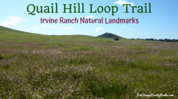 Quail Hill Loop Trail in Irvine - Fun Orange County Parks