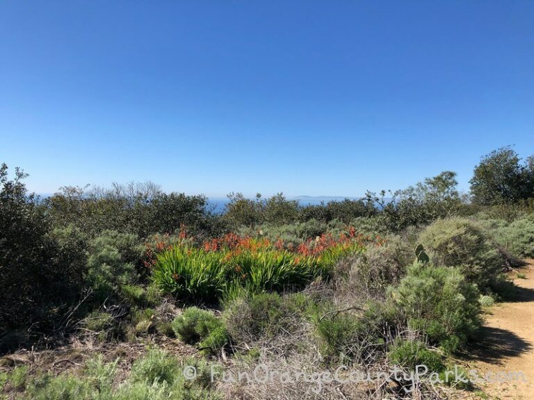 Seaview Park and Aliso Summit Trail in Laguna Niguel
