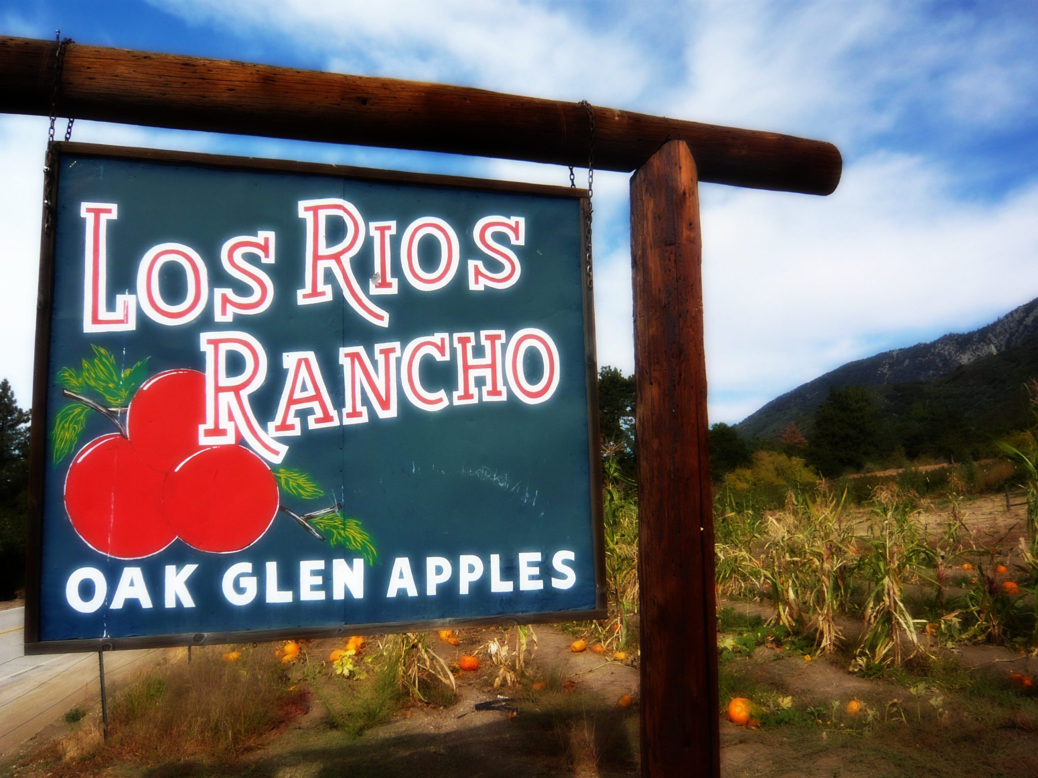 Riley at Los Rios Rancho Apple Farm Trip: Celebrating Fall with Family