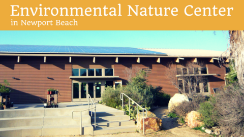 17+ Family-Friendly Nature and Interpretive Centers in OC
