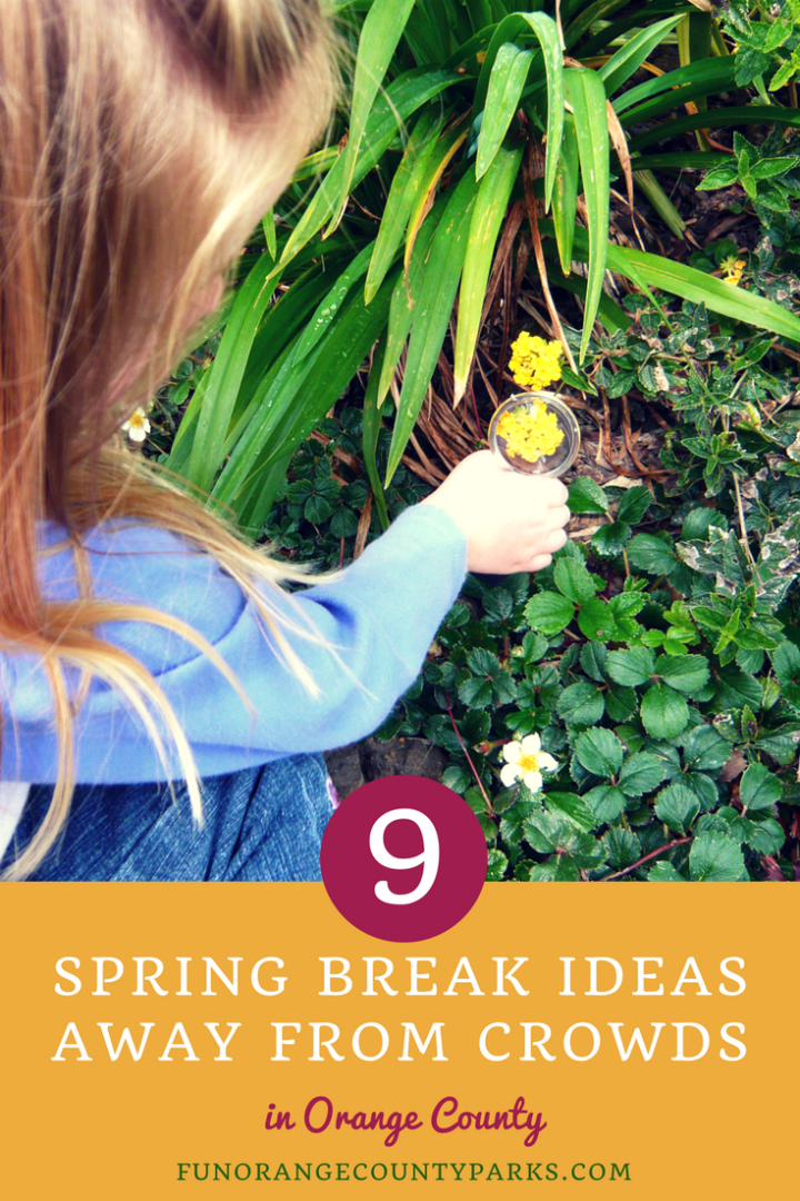 9 Ideas for Spring Break Family Activities Away From The Crowds