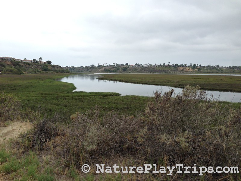 Back Bay Science Center Community Days in Newport Beach