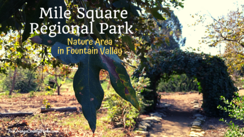 Mile Square Regional Park Nature Area - Fun Orange County Parks