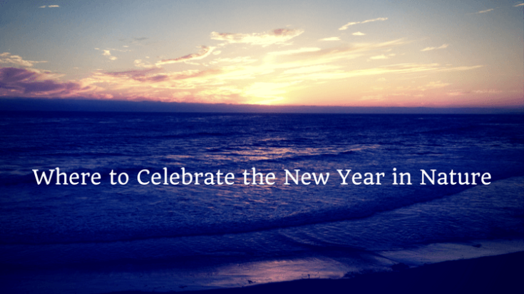 New Year's 2018 in Nature