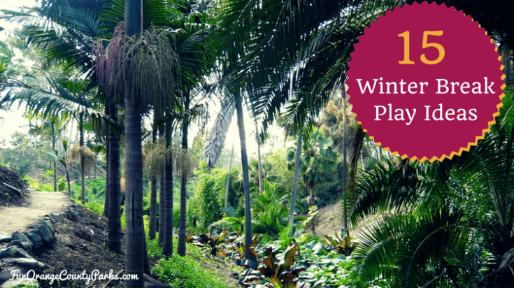 15+ Winter Break Play Ideas | What to Do on Winter Break