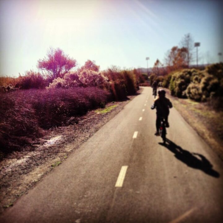 Flat Biking - Fun Orange County Parks