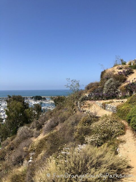Dana Point Bluff Top Trail - Fun Orange County Parks