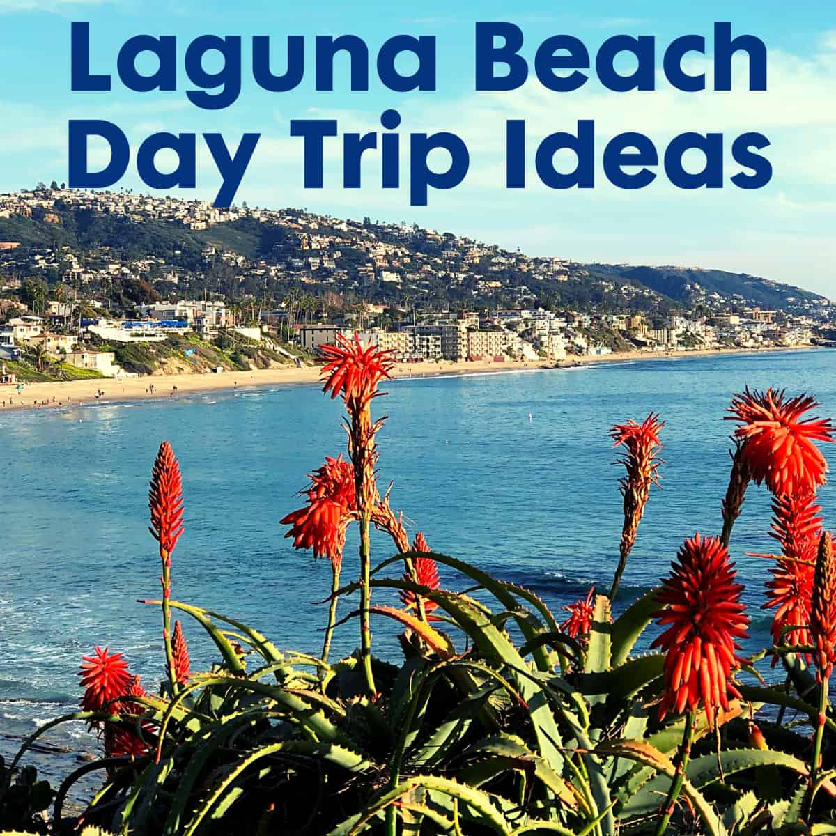 12 Laguna Beach Day Trip Ideas for Families - Fun Orange County Parks
