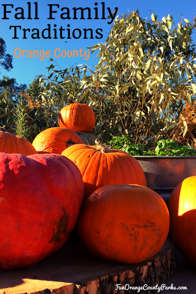 Best Outdoor Fall Family Traditions in OC [2025 List]