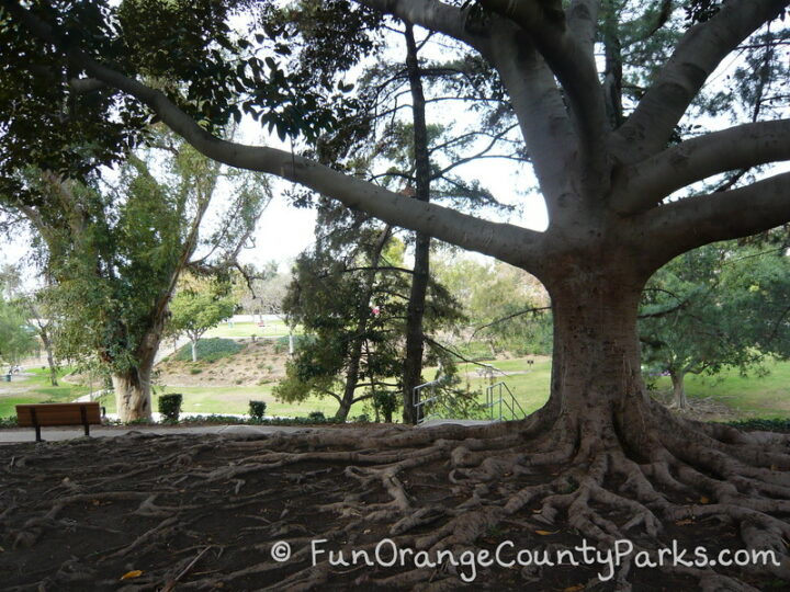 Eisenhower Park in Orange - Fun Orange County Parks