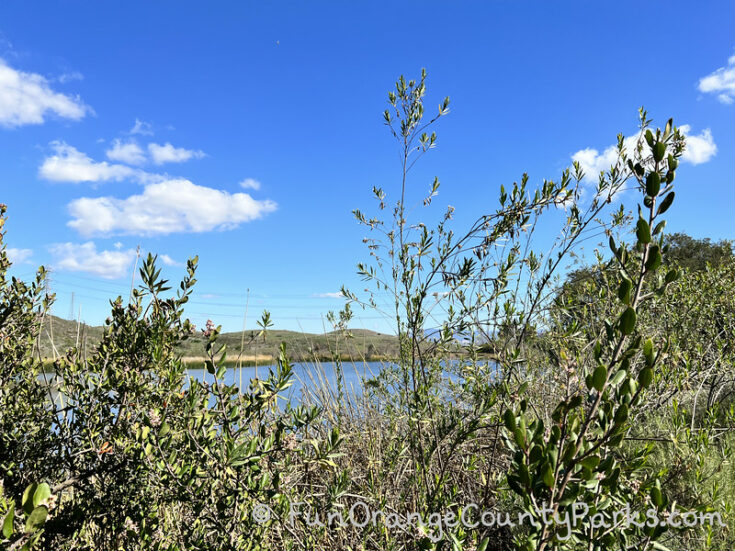 Barbara's Lake: Easy Hike Near Laguna Beach