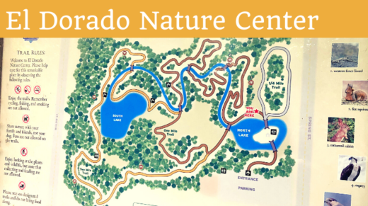 17+ Family-Friendly Nature and Interpretive Centers in OC