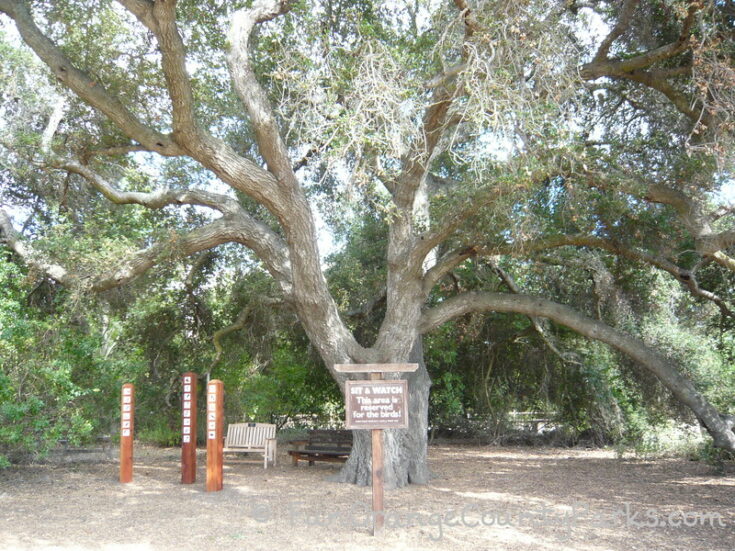 Riley Wilderness Park in Coto De Caza - Fun Orange County Parks