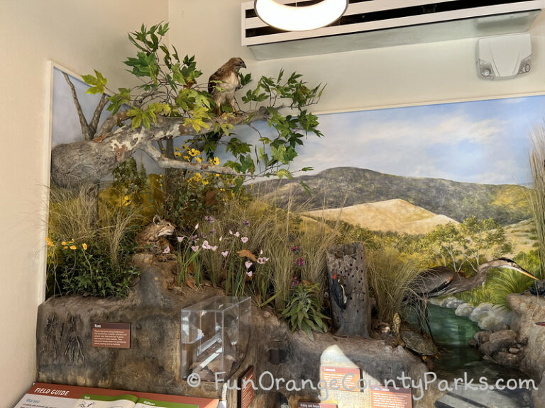 Aliso and Wood Canyons Visitor Center and Trails