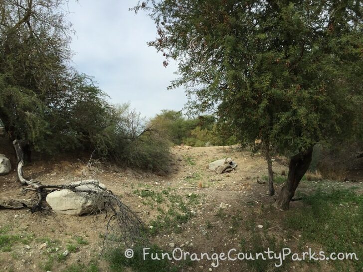 The Living Desert Zoo & Gardens in Palm Desert for Families