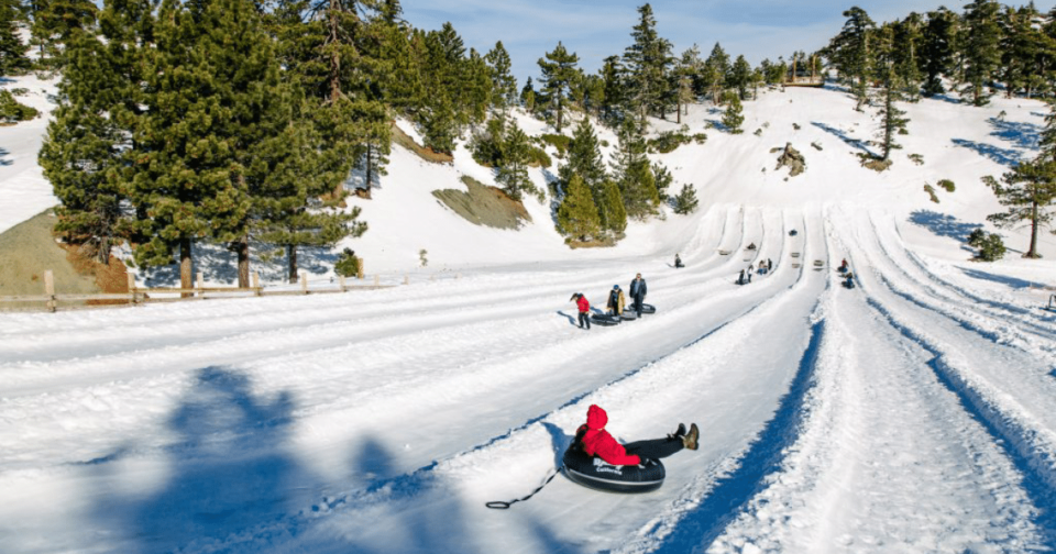 15+ Winter Break Play Ideas | What to Do on Winter Break