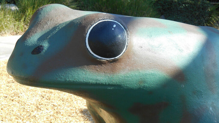 47+ Petting Zoos and Animal Playgrounds in Orange County