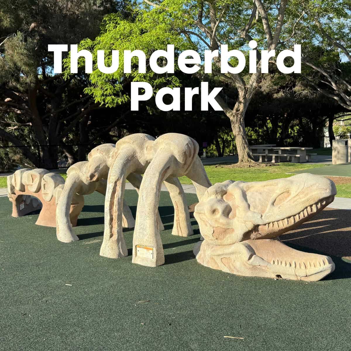 2024 Wild Rivers Irvine (Family Guide) - Fun Orange County Parks