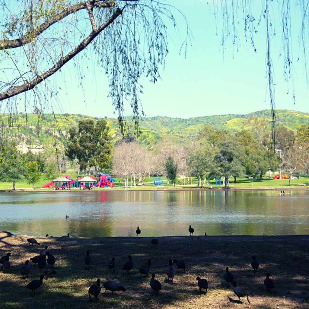 StoryWalk and Mesa Trail at O'Neill Regional Park - Fun Orange County Parks