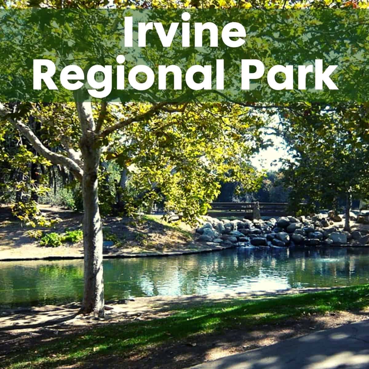 Irvine Regional Park for Play + Zoo + Railroad + Lake + Pony Rides