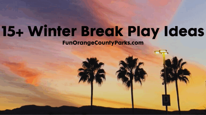 15+ Winter Break Play Ideas | What to Do on Winter Break