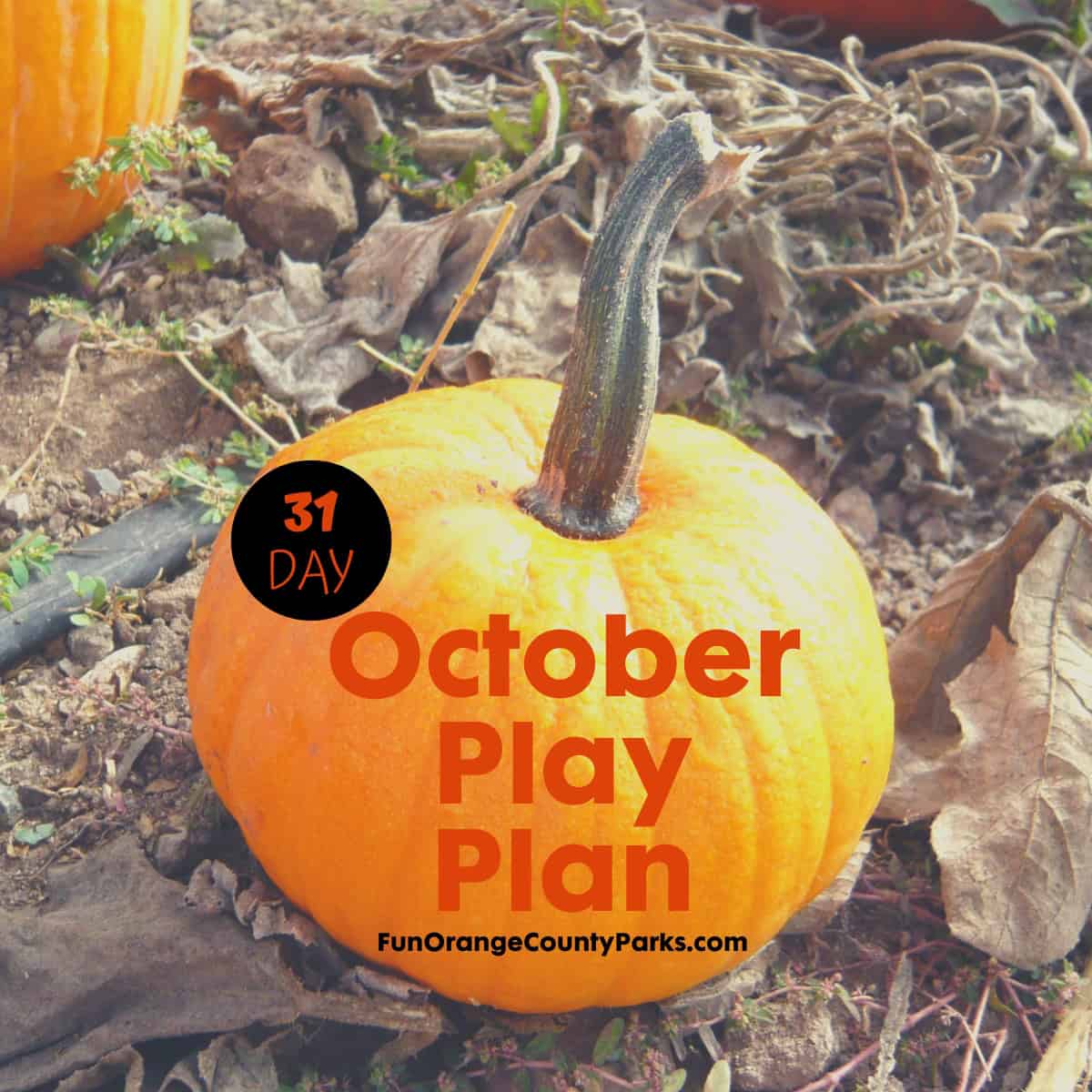 31 Days October Halloween Activities - Fun Orange County Parks
